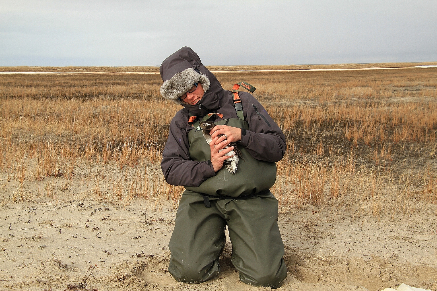 Blog – Ingrid L Pollet